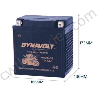 Cina Batterie per veicoli ricreativi 12V 30Ah 125CC Batterie per quattro ruote DYNAVOLT MG30L-BS-C in vendita