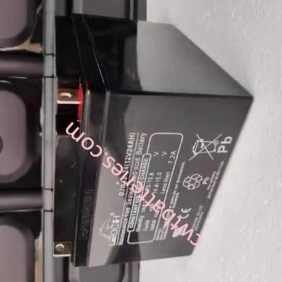 Cina OEM LEOCH DJM12-24 VRLA Batterie AGM Tecnologia 12V 24AH in vendita
