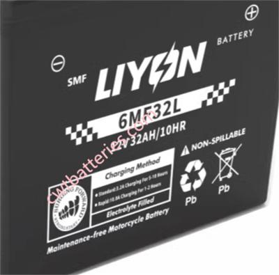 Cina Liyon 6MF32L 12V 32Ah Atv Batteria AGM Gel Batteria Nuovo Originale in vendita