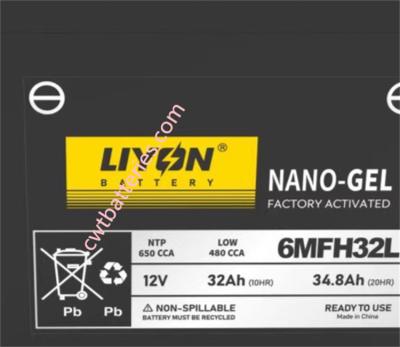 Cina Liyon 6MFH32L 12V 32Ah Atv Batteria di alta potenza Energy Storage Nuovo originale in vendita