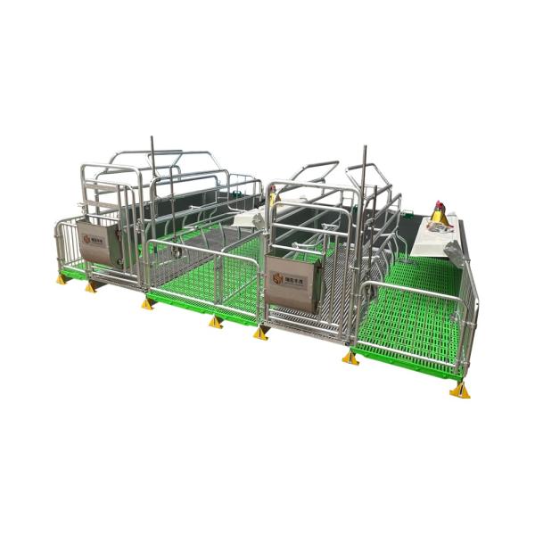 Quality New Farm Equipment Hot Dip Zinc Steel Pipe Material Pig Cage Animal Cage for sale
