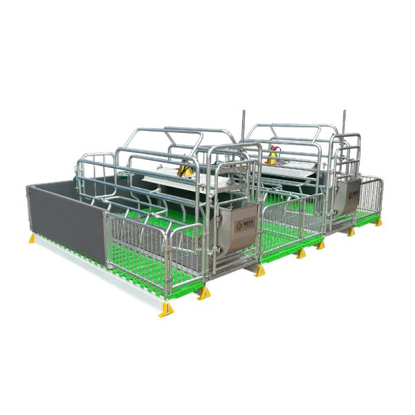 Quality Pig Farm Equipment Modern Pig Housing Pig Pen House for sale