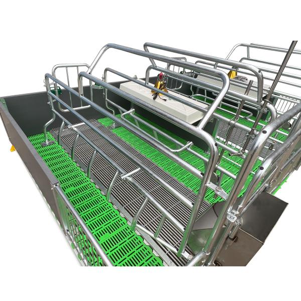 Quality Pig Sows High Quality Hot Dip Galvanizing Simple Delivery Farrowing Bed for sale