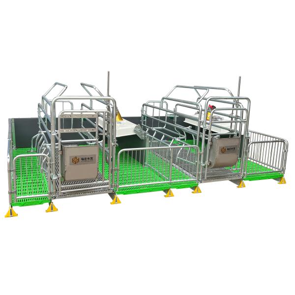 Quality Pig Sows High Quality Hot Dip Galvanizing Simple Delivery Farrowing Bed for sale