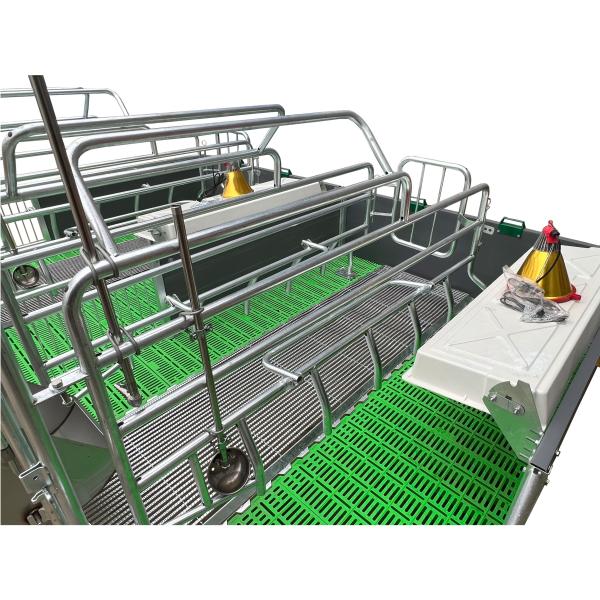 Quality Pig Sows High Quality Hot Dip Galvanizing Simple Delivery Farrowing Bed for sale