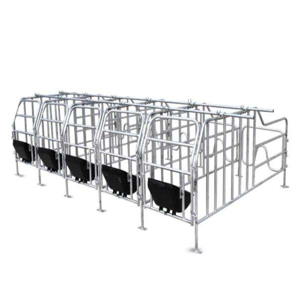 Quality New Design Pigs Gestation Crate for Sows Gestation Stalls Animal Cages for sale