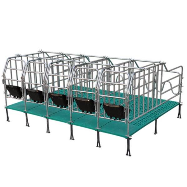 Quality Hot Dip Galvanized Pig Farming Equipment Sows Gestation Crates Pig Cages for sale