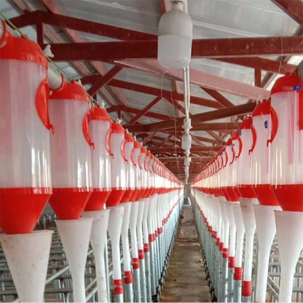 Quality Plastic Feed Measuring Quantitative Cups Automatic Pig Feeder for Sow Farrowing for sale