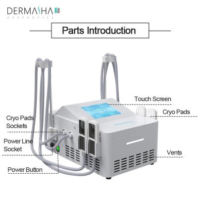 Cina Ems 4 Handles 360 Degree Cryolipolysis Slimming Machine Four Paddles Fat Freezing Equipment in vendita