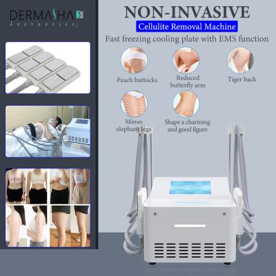 Cina Ems 4 Handles 360 Degree Cryolipolysis Slimming Machine Four Paddles Fat Freezing Equipment in vendita