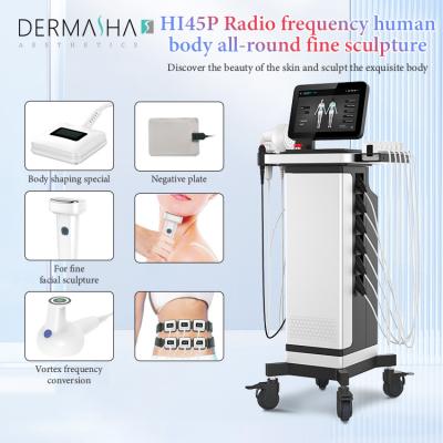 Cina 2MHz EMS Body Sculpting Machine Reduce Fat Hi-45P Trubody Fat Reduction RF Beauty Machine in vendita