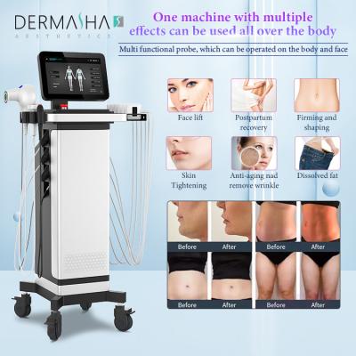 Cina 2MHz EMS Body Sculpting Machine Reduce Fat Hi-45P Trubody Fat Reduction RF Beauty Machine in vendita