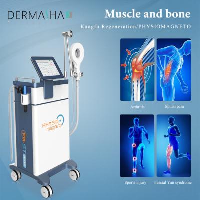 Cina Dispositivo magnetico di terapia di recupero portatile del muscolo di magnetoterapia di prezzo franco fabbrica in vendita