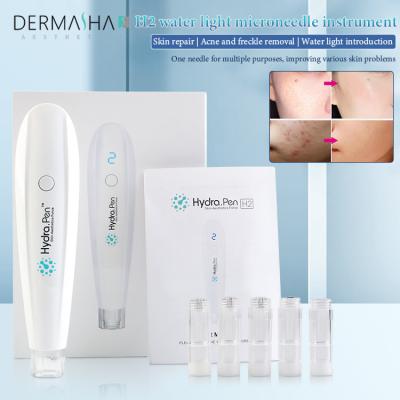 Cina H2 Face Skin Tightening Derma Pen Home Skin Rejuvenation Device Microneedling Pen Wireless in vendita