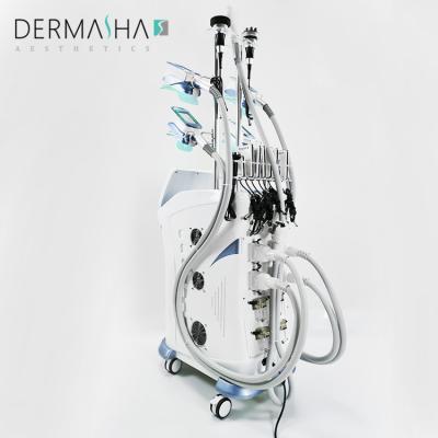 Cina Grado Cryolipolysis della macchina 360 di rimozione del grasso corporeo di crioterapia 5 maniglie in vendita
