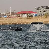 Quality Portable Solar Powered Paddle Wheel Aerator Intelligent Control For Shrimp And for sale