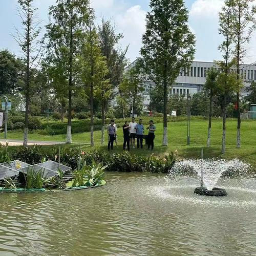 Quality High-Efficiency Pure Solar Fountain Aerator For Lake & Pond Oxygenation​ for sale