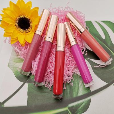 China OEM 24color Fluweelmist Matt Lip Gloss Genuine Lipstick Te koop