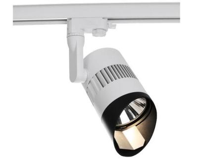 Cina Bianco/nero/illuminazione dell'interno pista dell'argento per la PANNOCCHIA 30W CRI85 1600lm del cittadino di mostra in vendita