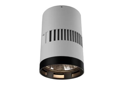 China CE Approved COB Surface Mount LED Lights for Market / Villa 60° Beam Angle 30W for sale