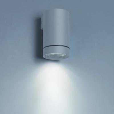 China Edison 3W Round Led Wall Lights Led Outdoor Wall Mount Lighting IP54 for sale