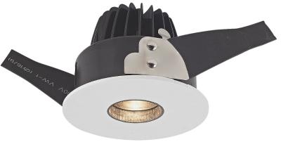 China High Waterproof IP54 Led Cob Downlight 10w for Indoor / Outdoor for sale