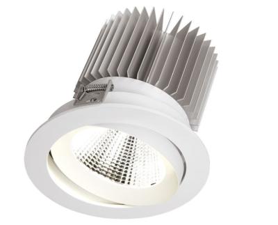 China 50W Wall Washer COB LED  Downlight With Steady Structure  Cutout 140mm for sale