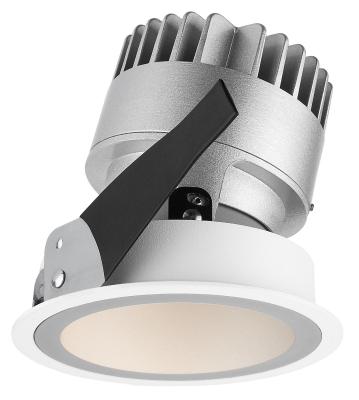 China Adjustable Wall Washer Lamp LED Recessed Downlight 10W CITIZEN COB 700lm for sale