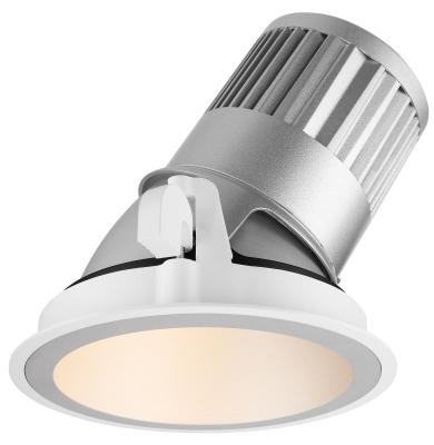 China 30W COB LED Indoor Wall Wash Lighting Exterior Can Lights Dia.175mm for sale