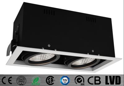 Cina Luminosità principale commerciale delle lampade di Downlight dell'alta di Istruzione Autodidattica 2*20w testa del doppio alta in vendita