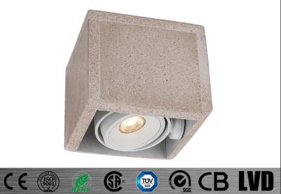 Cina 10W 240mA Dimmable ha condotto Downlights con il contenitore di copertura, hotel interno Downlights messo LED in vendita