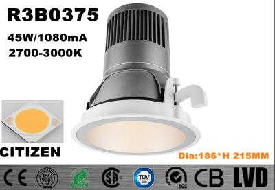 Cina Alto annuncio pubblicitario fisso interno luminoso rotondo LED Downlights per i centri commerciali in vendita