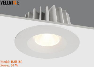 Cina 30W regolano l'alta lampada del lume LED giù, illuminazione principale all'aperto di inclinazione di 30 gradi in vendita