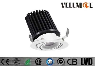 China Hotel 15w Recessed Adjustable Integrated Led Downlights With 20 Degree Tilt / R3B0619 for sale