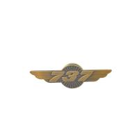 Quality 737 Winged Brooch Accessories Lightweight Airline Pilot Wings Pin Memorable for sale
