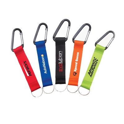 China Multicolor Carabiner Keychains Metal Lobster Claw Silicone Materials for Events/Gifts for sale