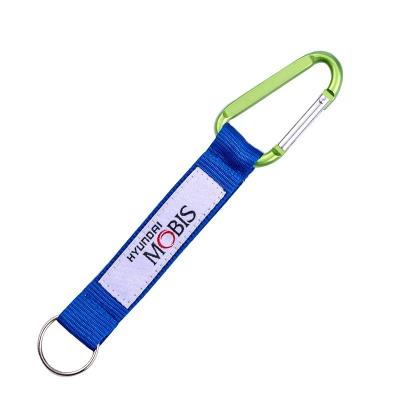 Chine Logo personnalisé porte-clés Carabiner Bracelet bleu clair Crochet vert durable en extérieur à vendre