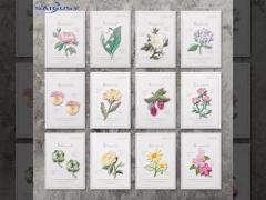 Gemakkelijke bloemstijl: Iron-On Lily of the Valley Patch Wasbaar, lichtgewicht, perfect voor een zelfstandige kast