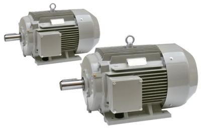 Cina 45kw professionale un motore asincrono di 3 fasi per il compressore a vite in vendita
