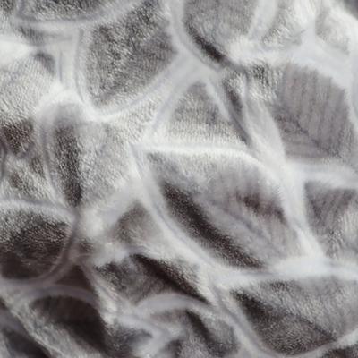 China 320gsm Double Sided Coral Throw Blanket Faux Throw Blanket For Winter Fade Resistant for sale