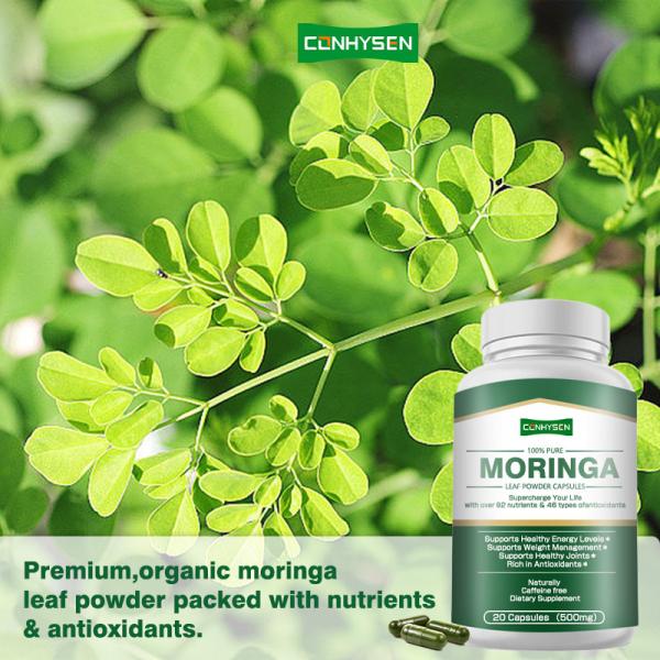 Quality Custom 100% Pure Moringa Capsules For Support Weight Management Healthy Joints for sale