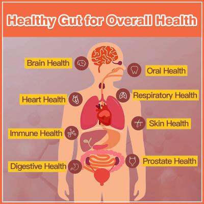 Cina Capsule di probiotici personalizzate per uomini con Lactobacillus Fermantum promuovono la salute intestinale in vendita
