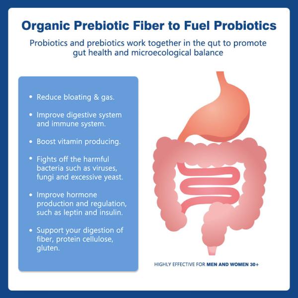 Quality Wholesale Price Probiotic Prebiotic Capsules Improve Hormone Production Natural for sale
