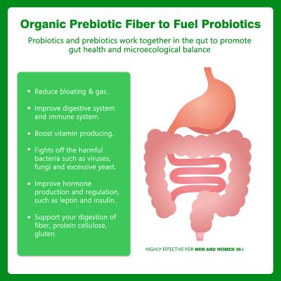 Cina Personalizzazione di fabbrica capsule probiotiche e prebiotiche migliorano il sistema immunitario e digestivo in vendita