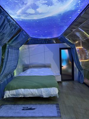 China Moderne intelligente outdoor prefab sterrenkamer waterdicht polycarbonaat koepels voor glamping geodetische koepel huis voor hotels Te koop