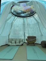China Customizable Transparent Dome Shape Polycarbonate Bubble Tent Bubble Sky Star Room for sale