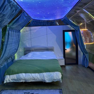 Cina Tenda Diy Bubble Ovale Infinitamente Estesa Tenda di Polycarbonate Dome casa per Glamping Hotel con Bagno Dome Igloo in vendita