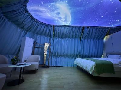 Cina Tenda Diy Bubble Ovale Infinitamente Estesa Tenda di Polycarbonate Dome casa per Glamping Hotel con Bagno Dome Igloo in vendita