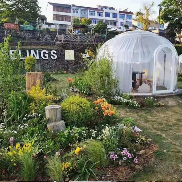 Quality 1 - 20mm Starry Sky Room Dining Bubble Tent Sleeping Panoramic Landscape Bubble for sale