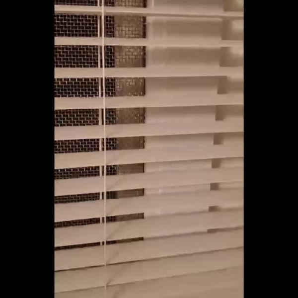 Quality Modern Design Shutters for Waterproof and Antifouling Aluminum Louver Curtain in for sale